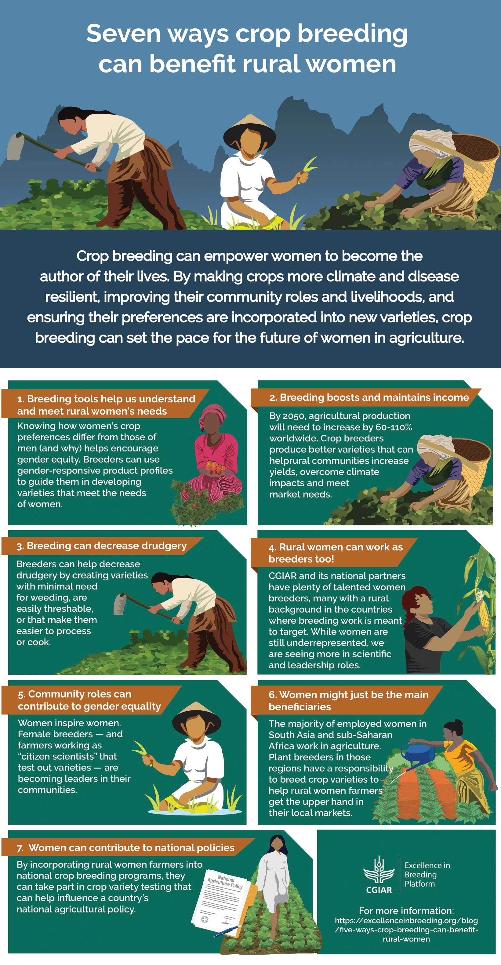 Infographic Shows How Crop Breeding Can Benefit Women